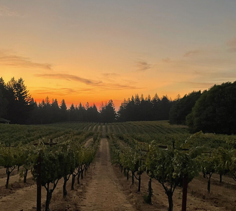 Press - Mariah Vineyards